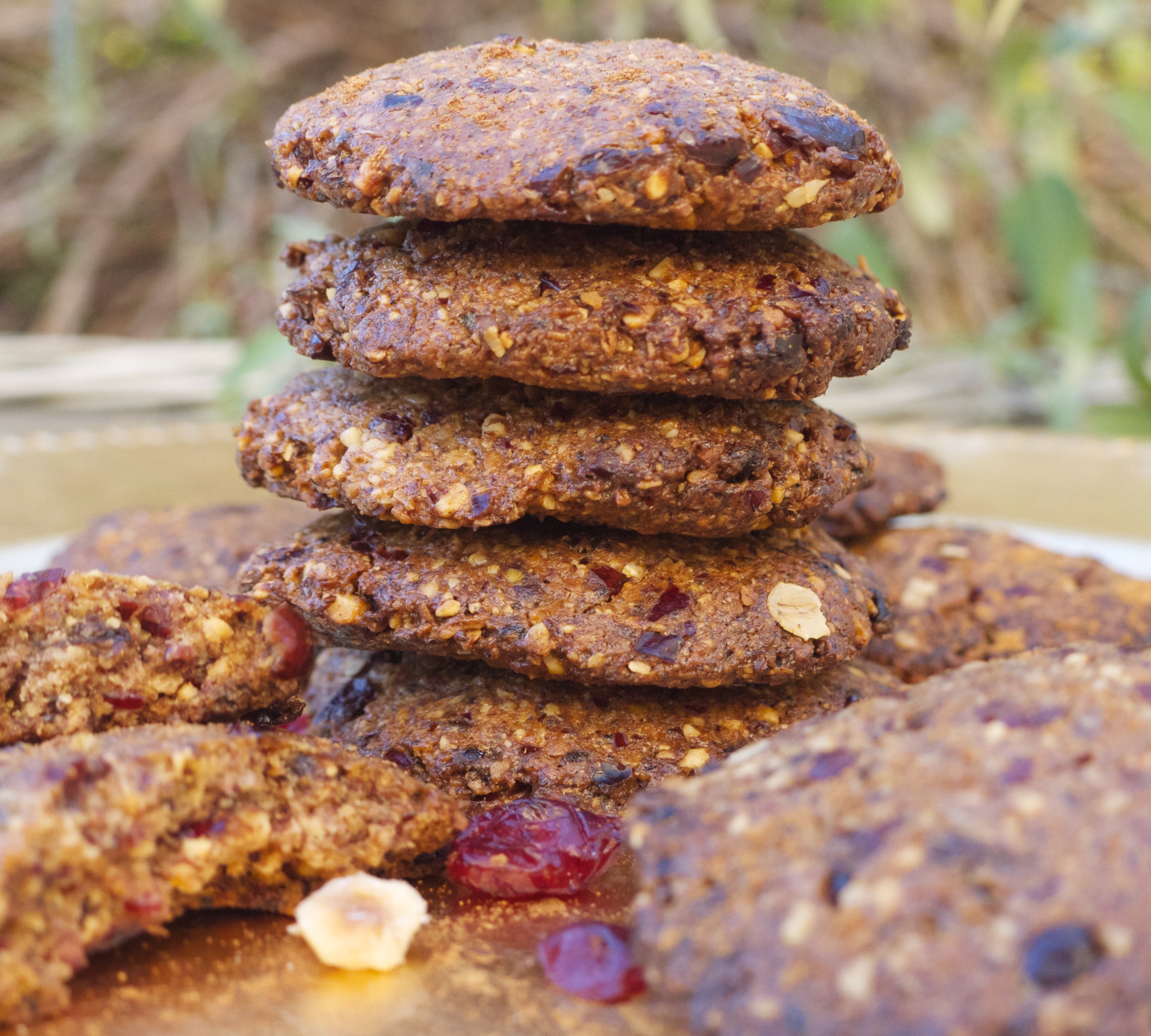 Exclusive Xposé Recipe: Nutty Cinnamon Cranberry Cookies - Rosanna ...